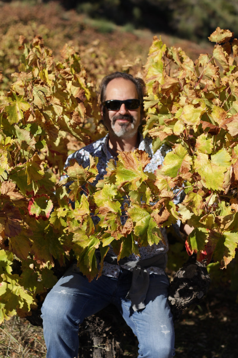 Tetramythos Winery – Asis wild wines