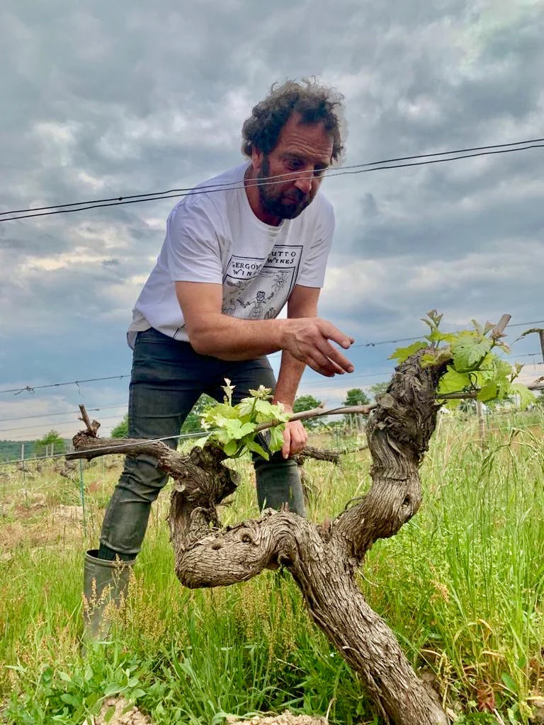 Jerome Lambert – Asis wild wines